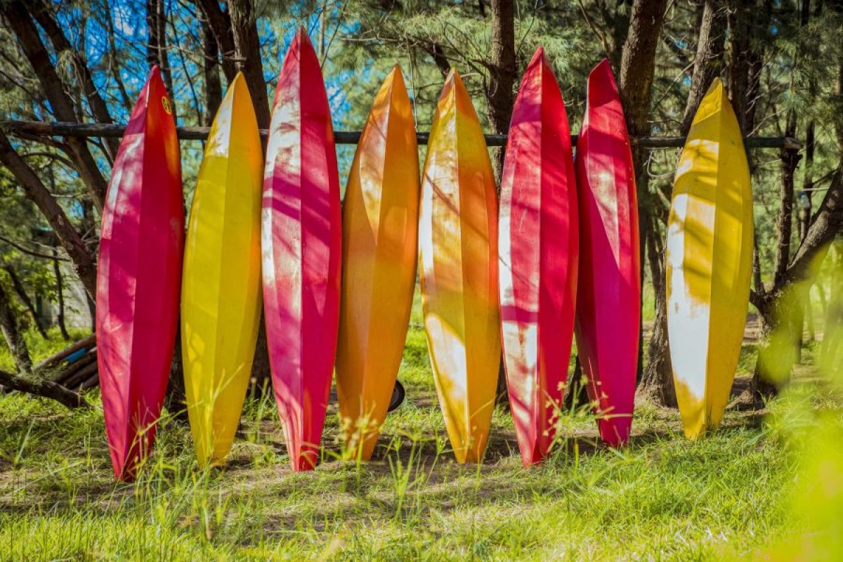 Zalala – Exercício de sentidos | Revista Índico